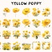 Poppy Clipart, Cute Spring Red Wild Flower Watercolor Clip Art, Floral ...