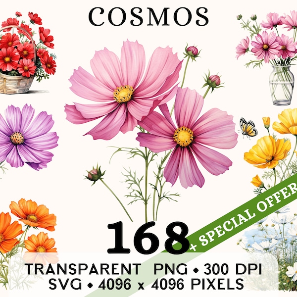 Drawing Cosmos Flowers - Etsy UK