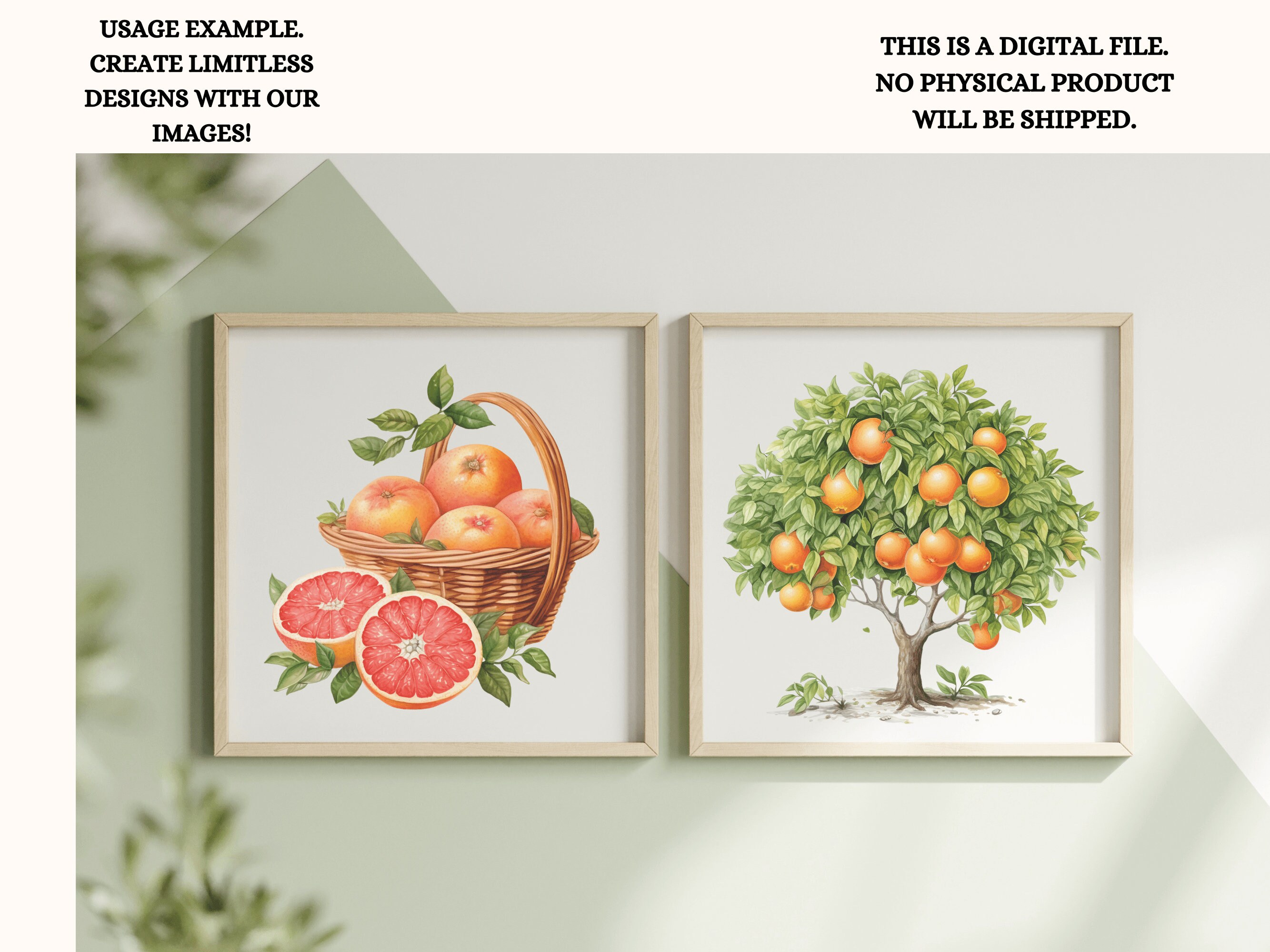 Grapefruit Clipart, Fruit Watercolor Grapefruit Juice Clip Art, Food ...