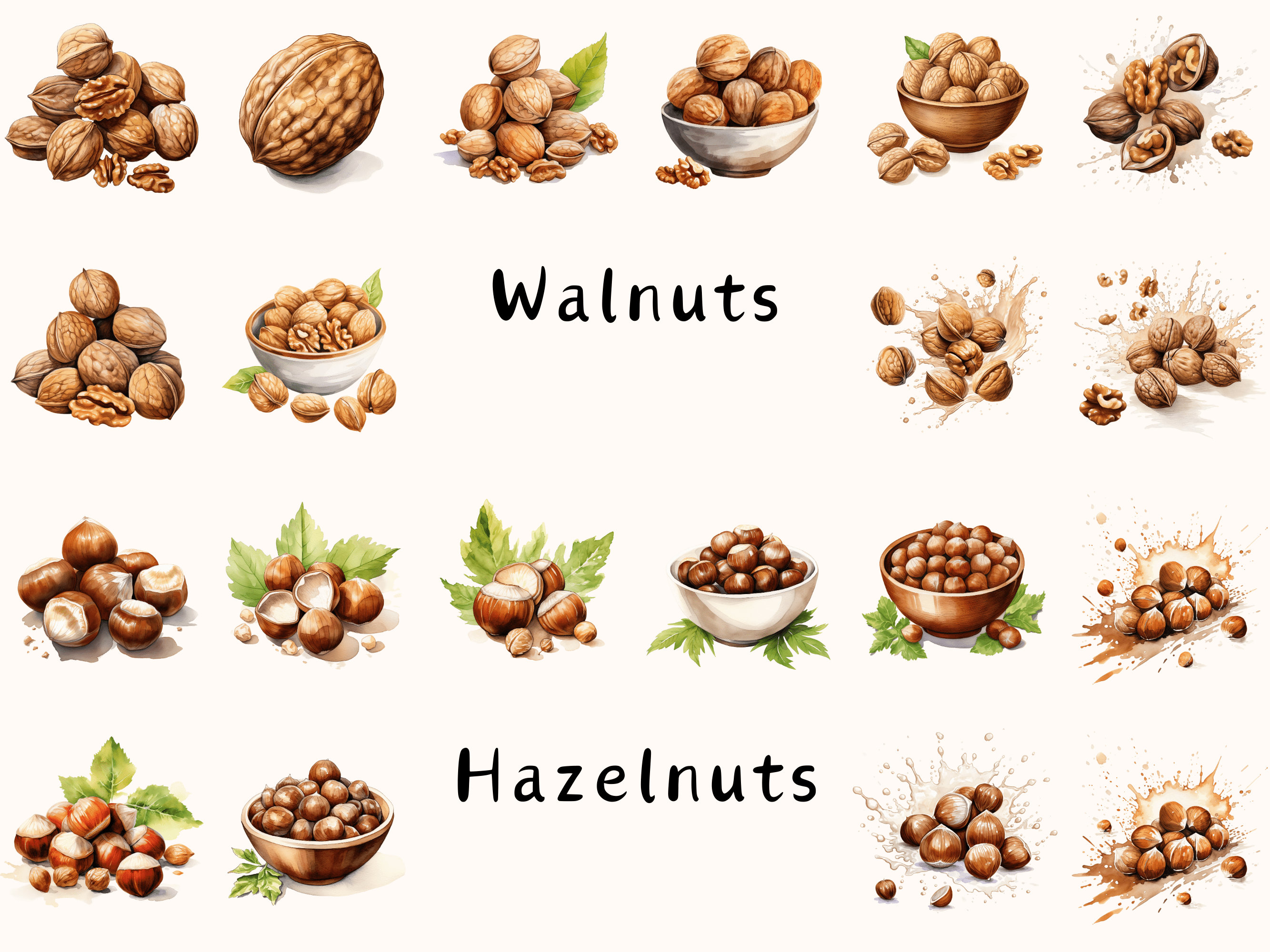 Nut Clipart, Fruit Watercolor Peanut, Walnut, Almond Clip Art, Seed ...