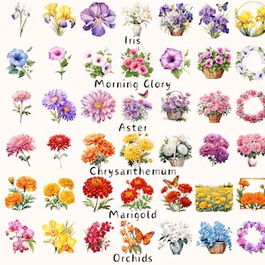 Flower Clipart Bundle, Cute Spring Flower Watercolor Clip Art, Floral ...