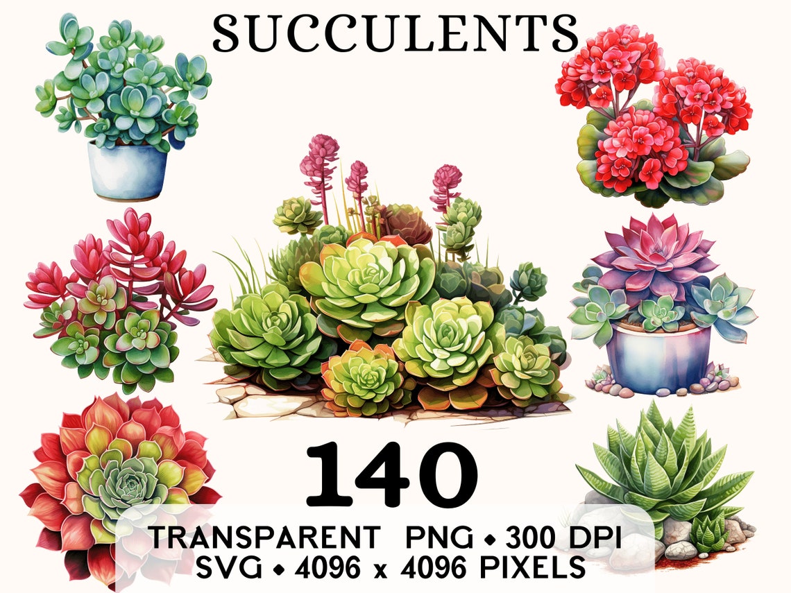 Succulent Plants Clipart, Aeonium Watercolor Clip Art, Floral Cactus ...