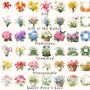 Flower Clipart Bundle, Cute Spring Flower Watercolor Clip Art, Floral ...