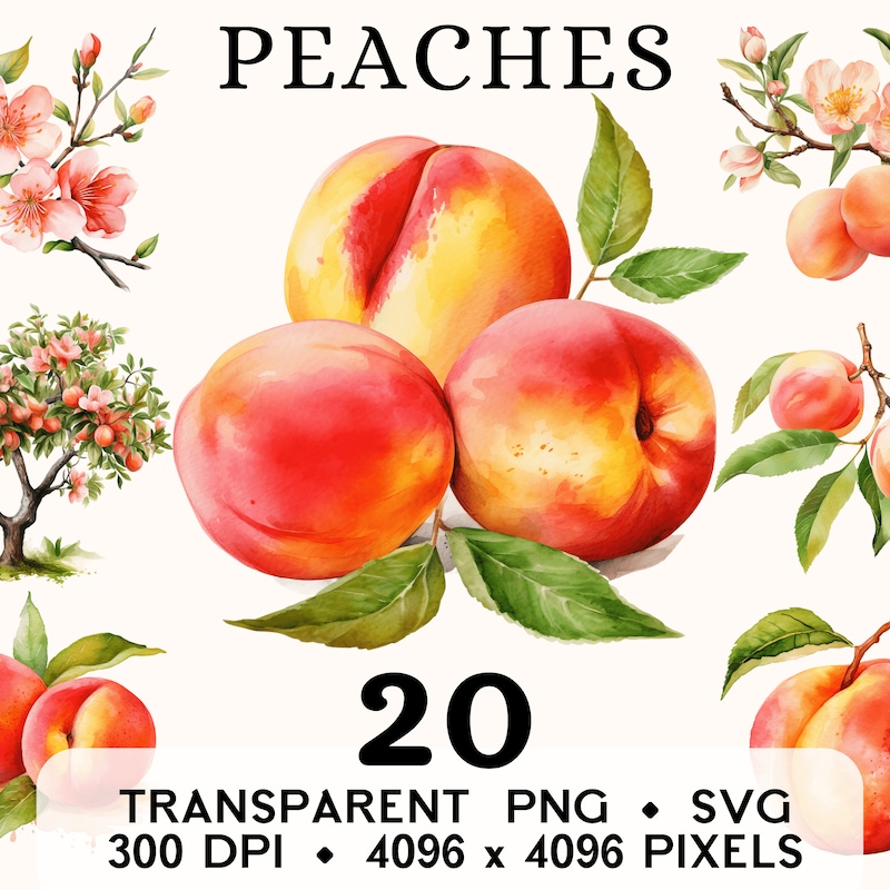 Peach - Etsy