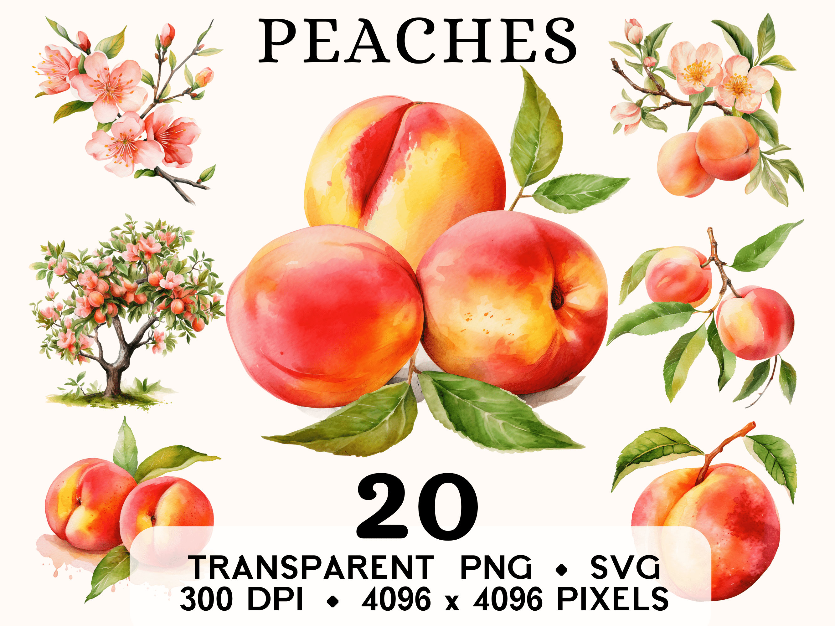 Clipart Crann Peach