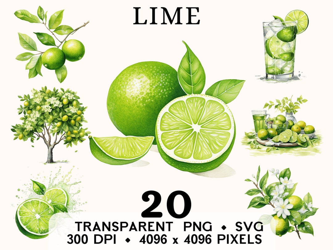 Lime Clipart, Fruit Watercolor Lemon Drink Clip Art, Basket Food ...