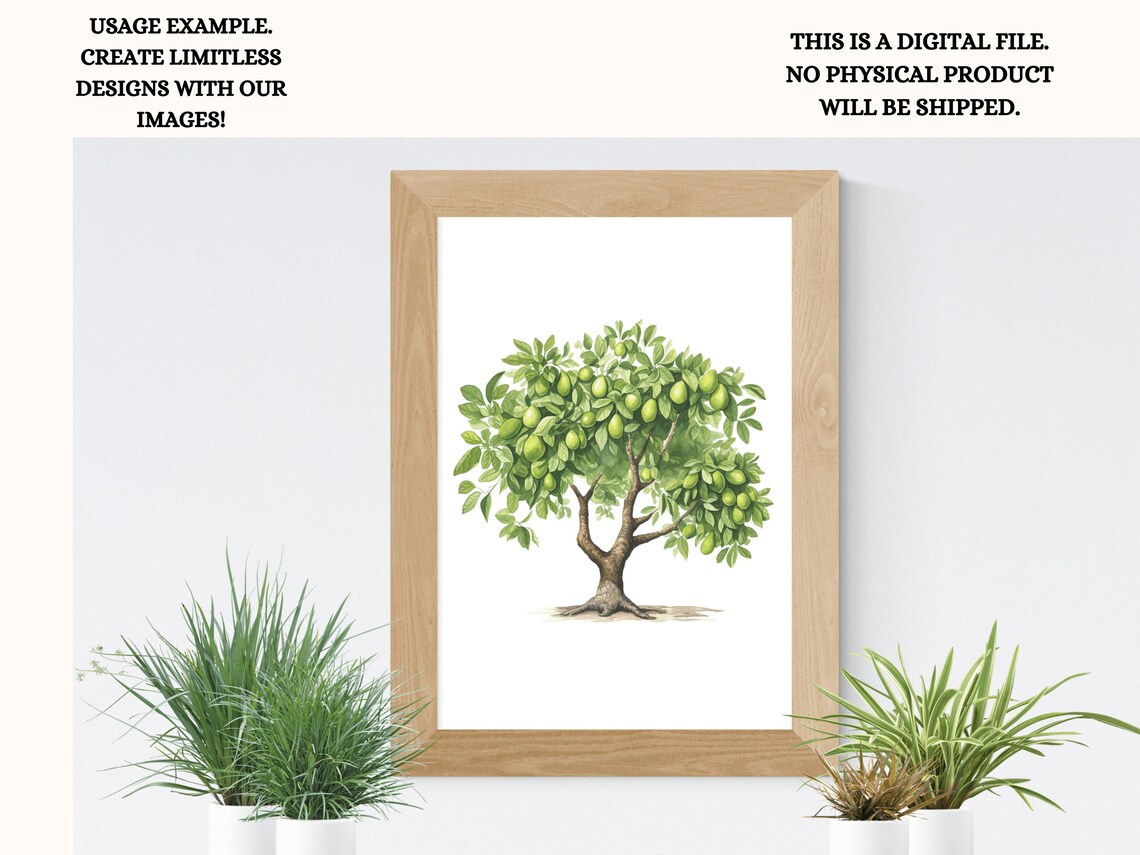 Avocado Clipart, Fruit Watercolor Avocado Basket Clip Art, Exotic Food ...