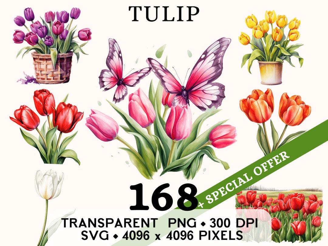 Tulip Clipart, Cute Wedding Spring April Flower Watercolor Clip Art ...