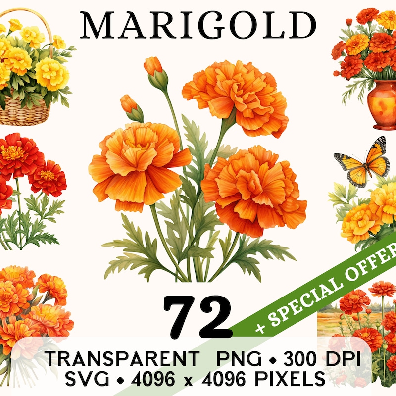 Marigold Flower Template Svg - Etsy
