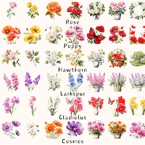 Flower Clipart Bundle, Cute Spring Flower Watercolor Clip Art, Floral ...