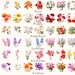 Flower Clipart Bundle, Cute Spring Flower Watercolor Clip Art, Floral ...