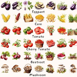 Bundle Vegetables Clipart, Vegetable Watercolor Veggie & Fruit, Farm ...