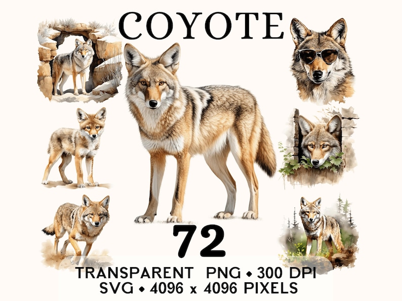 Coyote Clipart Forest, Song Dog Woodland Watercolor Clip Art, Animal ...