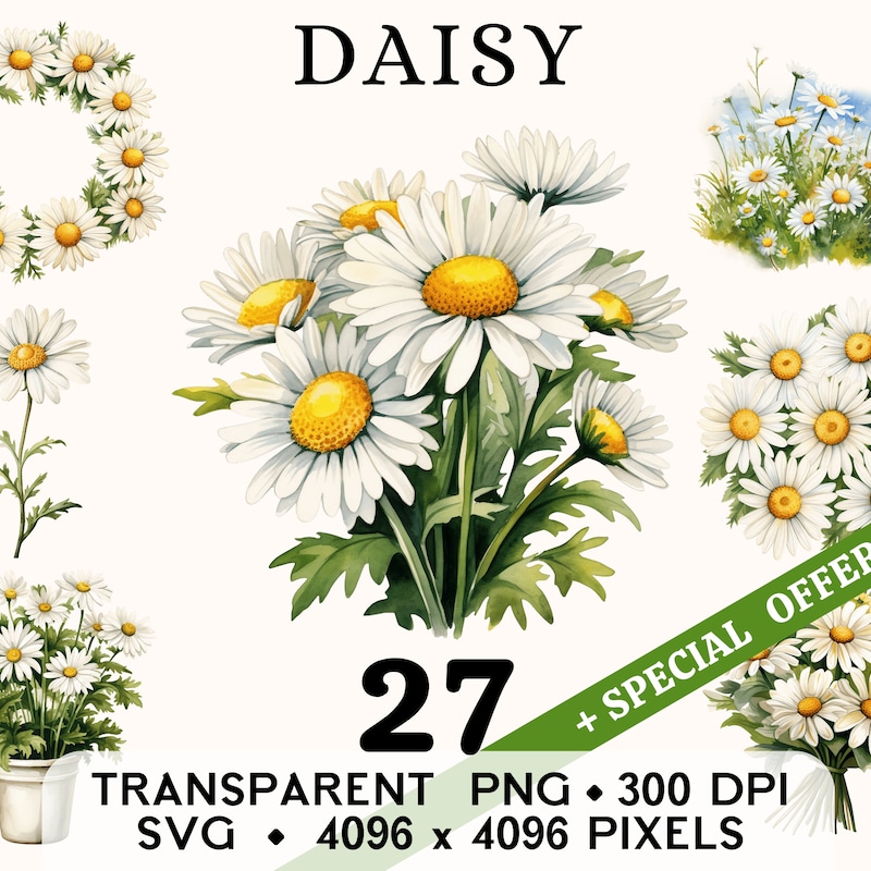 Onesie Flower Bouquet - Etsy UK