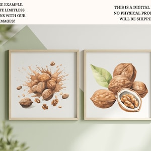 Walnut Clipart, Fruit Watercolor Nut Clip Art, Seed Food Sticker Mug ...