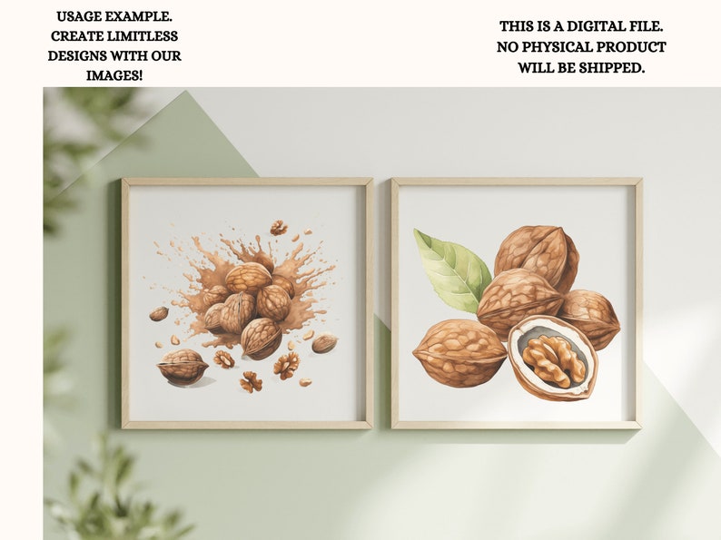 Walnut Clipart, Fruit Watercolor Nut Clip Art, Seed Food Sticker Mug ...