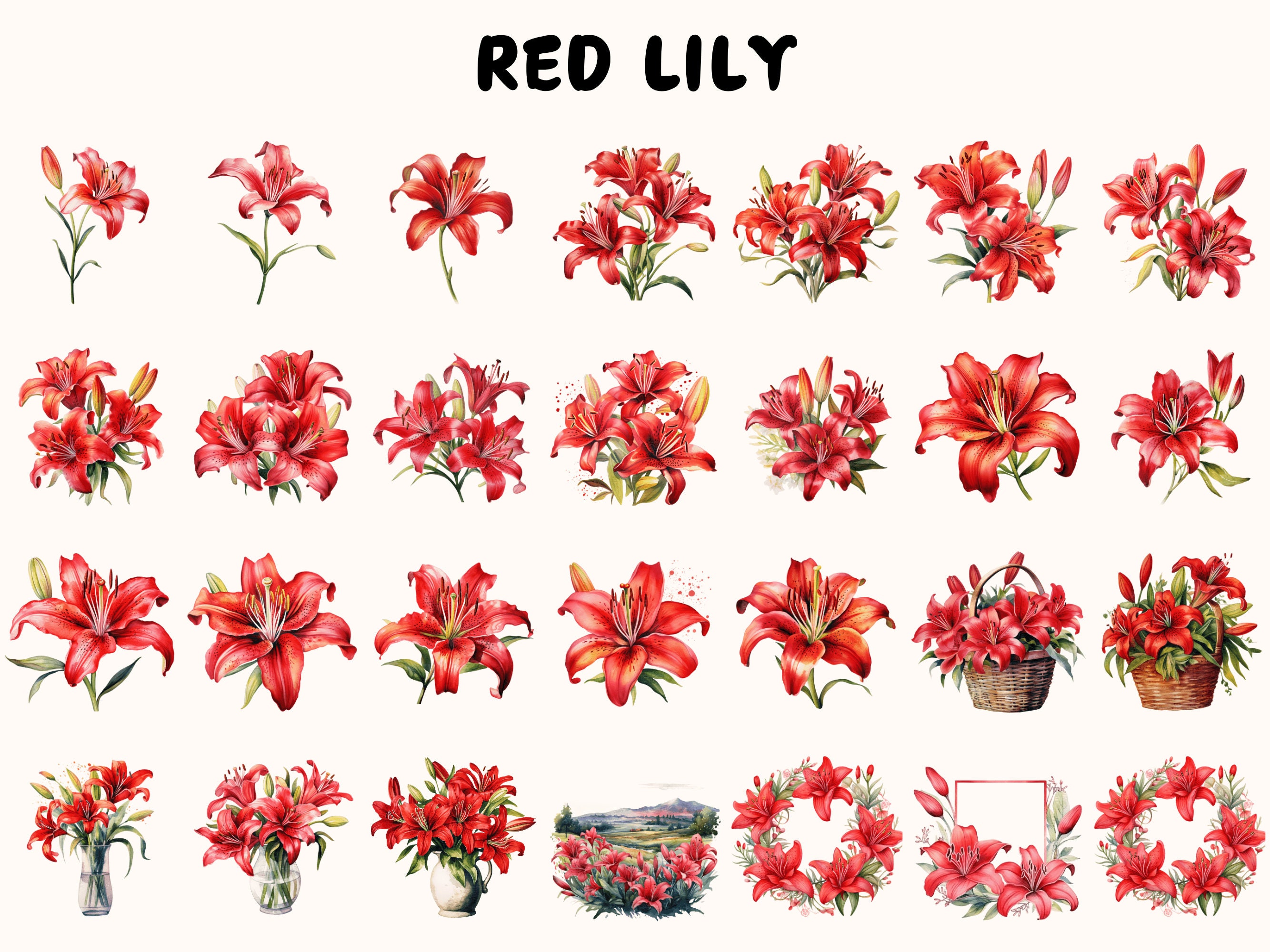 Lily Clipart, Cute Star Lily Wedding Flower Watercolor Clip Art, Floral ...