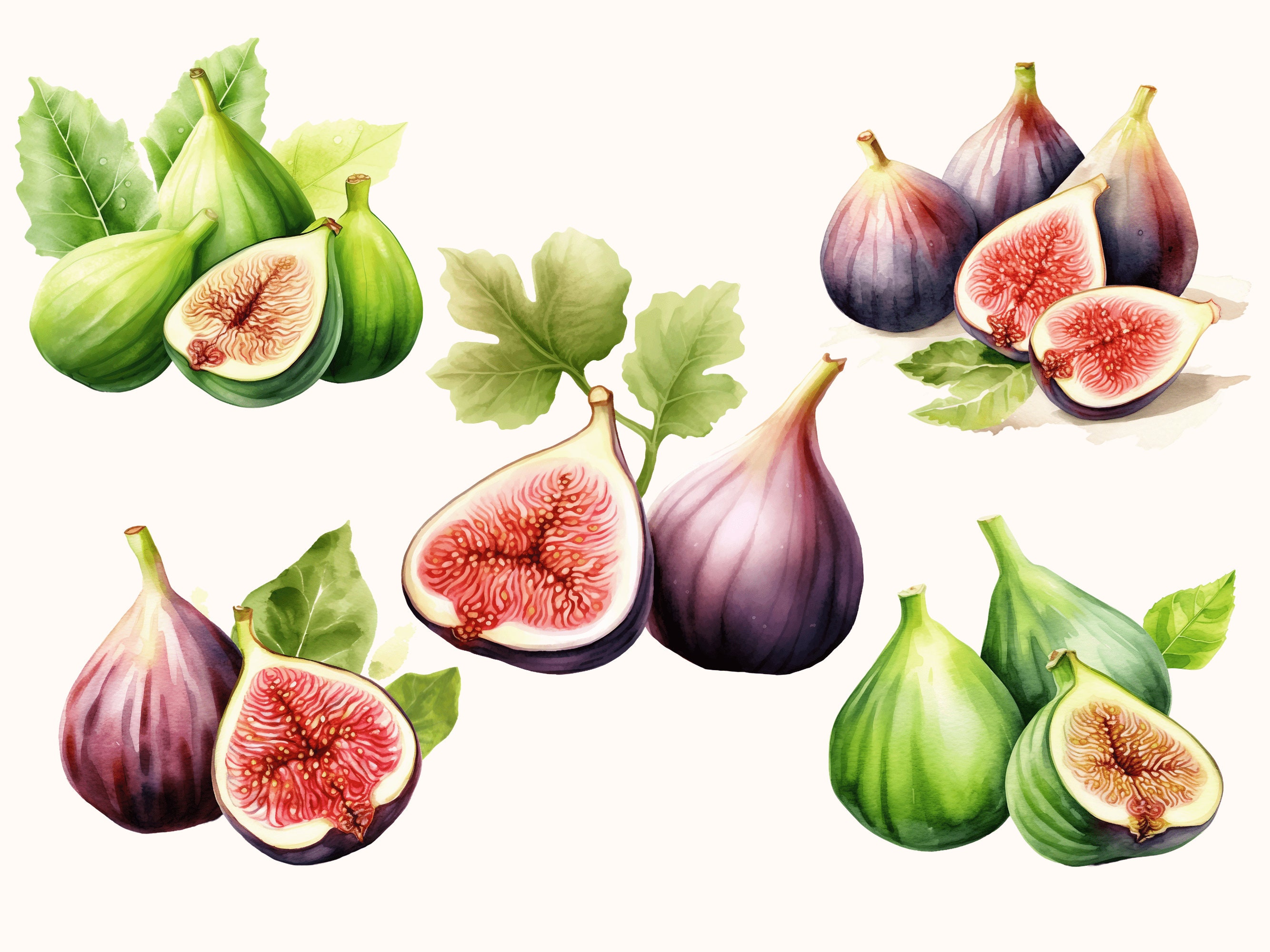 Fig Clipart, Fruit Watercolor Green Fig Tree Clip Art, Food Sticker Mug ...