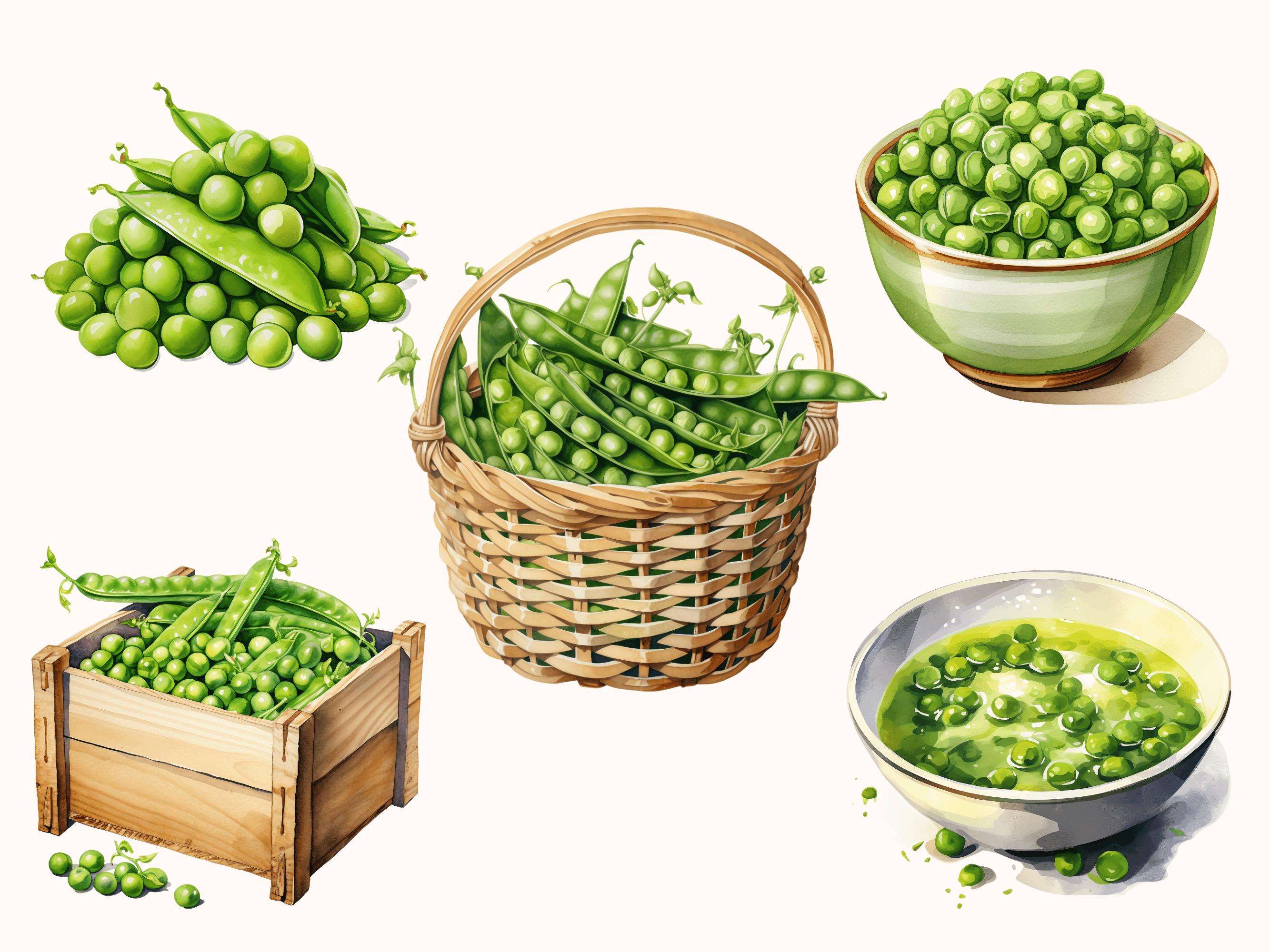 Green Peas Clipart, Farm Vegetable Watercolor Snap Pea Clip Art, Food ...