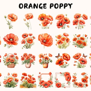 Poppy Clipart, Cute Spring Red Wild Flower Watercolor Clip Art, Floral ...