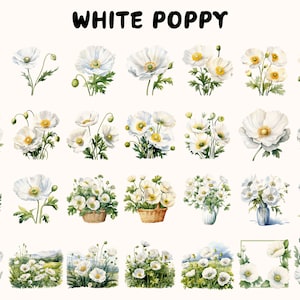 Poppy Clipart, Cute Spring Red Wild Flower Watercolor Clip Art, Floral ...