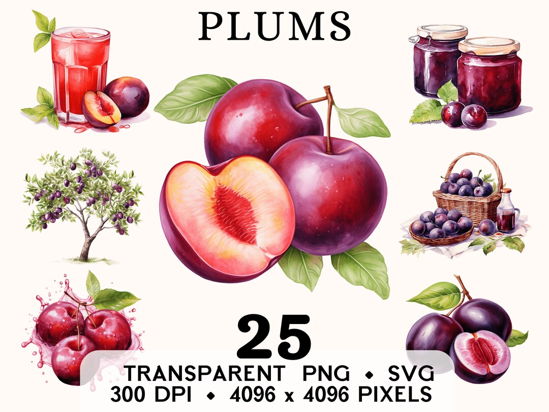 Plum Clipart, Fruit Watercolor Red Plum Flower and Tree Clip Art, Food ...