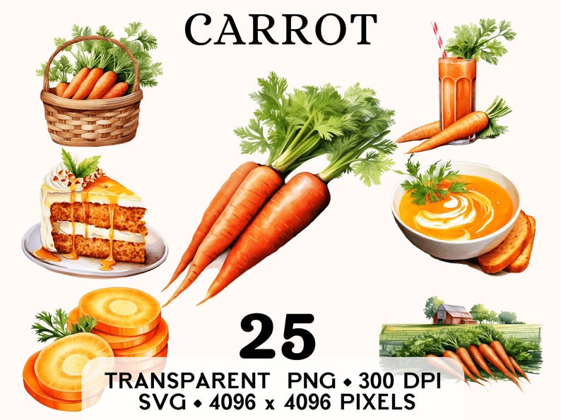 Carrot Clipart, Farm Root Vegetable Watercolor Orange Drink & Soup ...