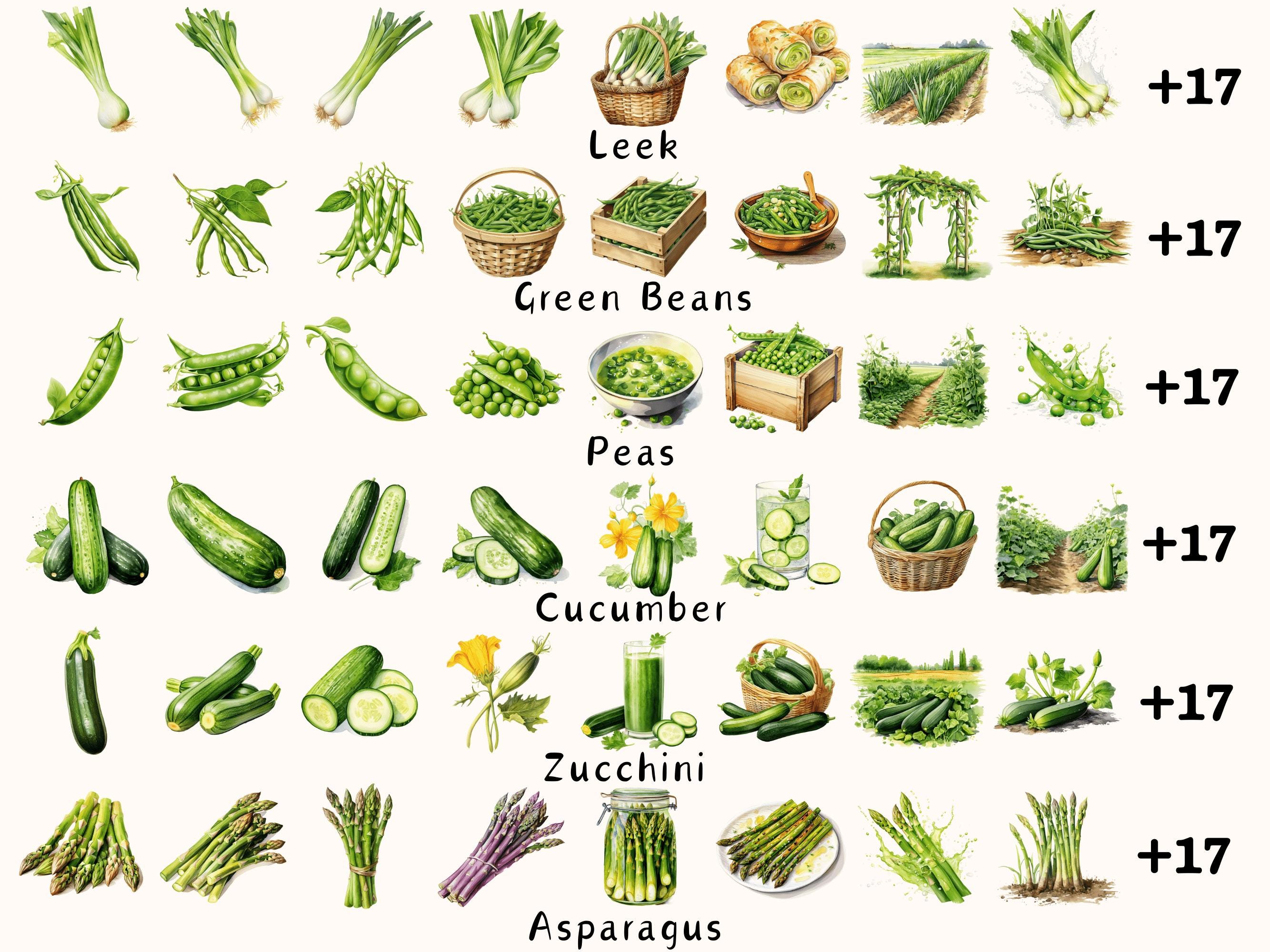 Bundle Vegetables Clipart, Vegetable Watercolor Veggie & Fruit, Farm ...