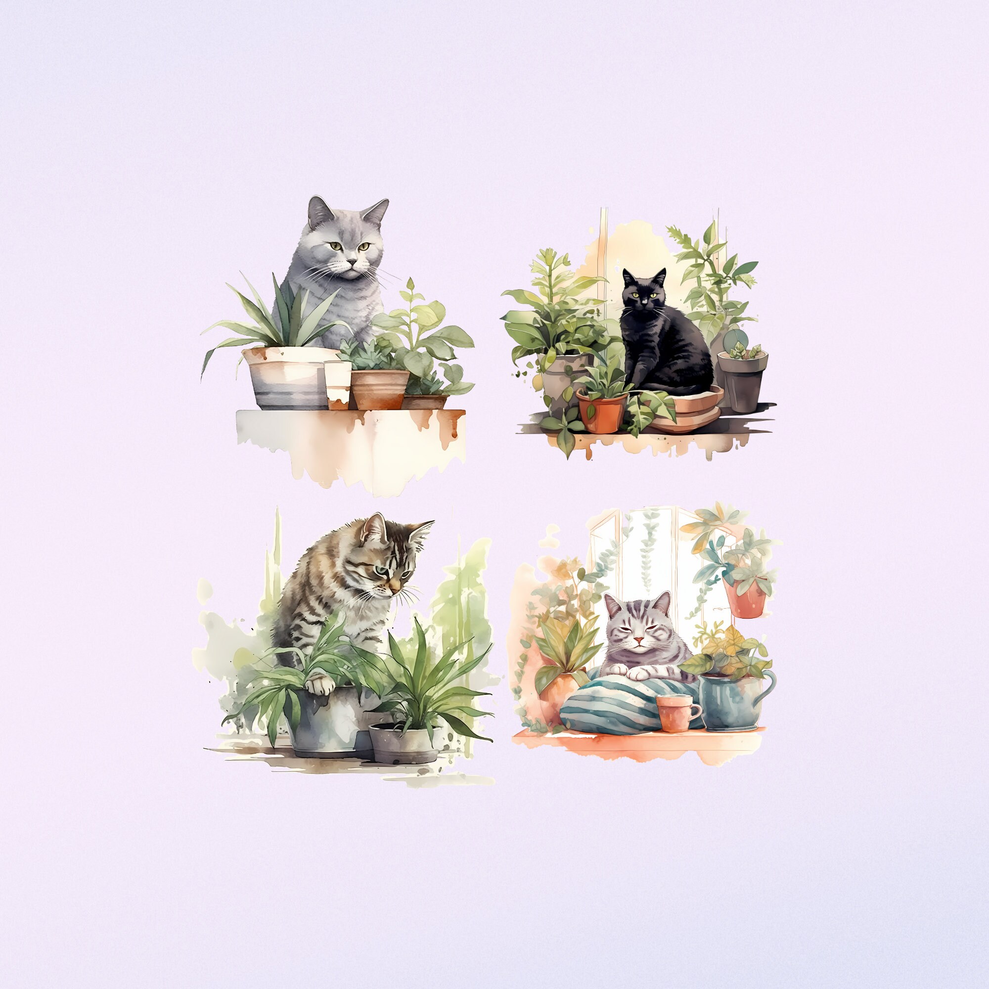 Cat and Indoor Plants Watercolor Clipart Botanical Houseplant - Etsy