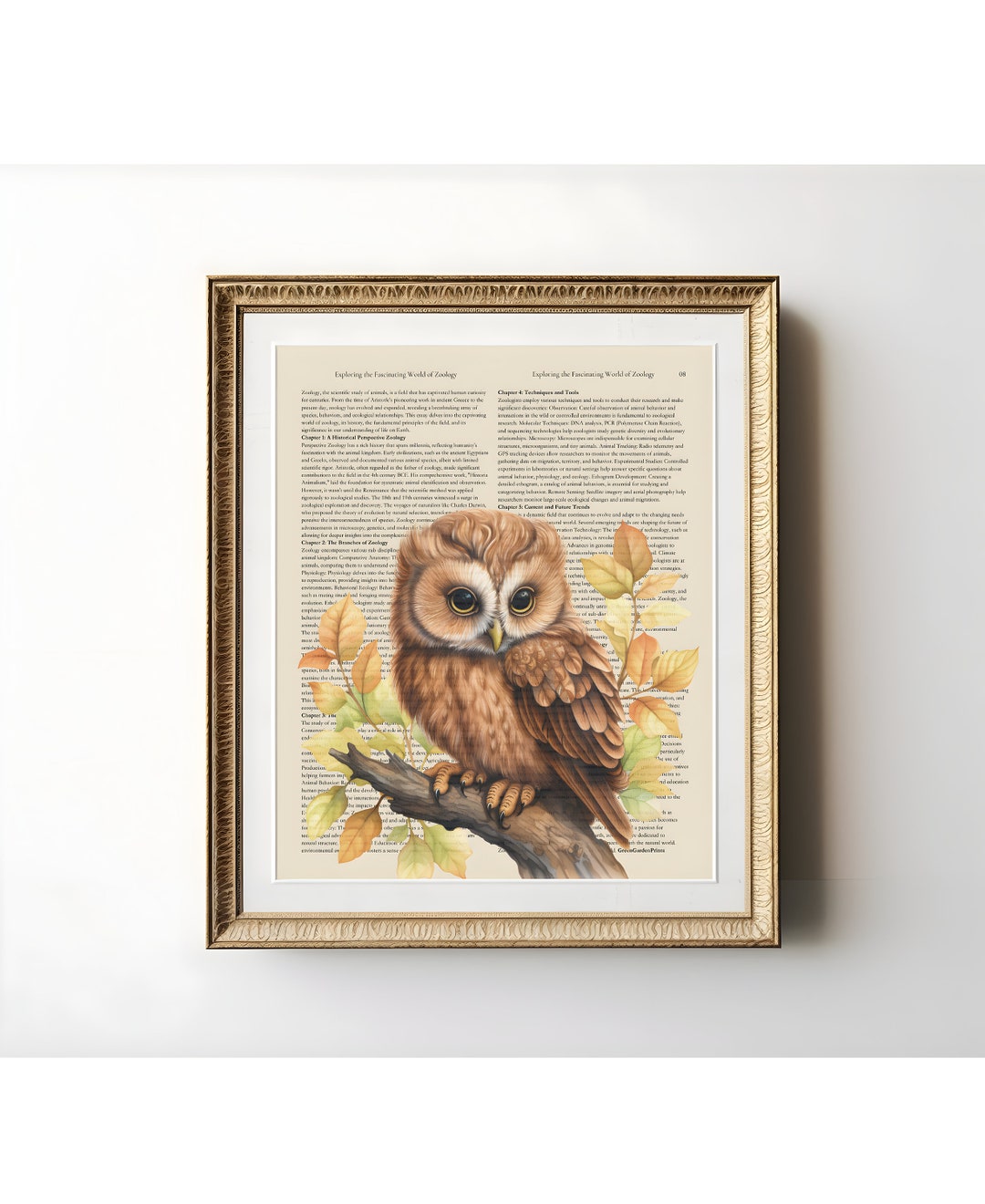 Baby Owl Wall Decor Baby Owl Nursery Decor Baby Owl Print - Etsy