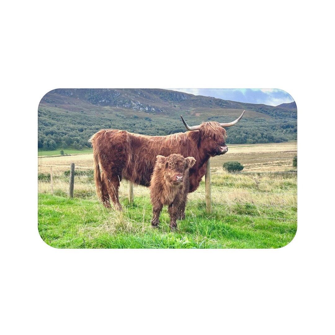 Mother & Baby Highland Hairy Coo Cow Lovers Gift Scotland Farm Life ...