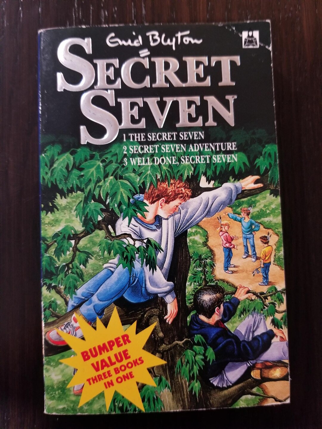 Secret Seven (3 Books in 1) - Etsy
