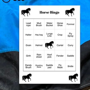 Pony Bingo Game Horse Birthday Party Activity (printable PDF), Horse ...