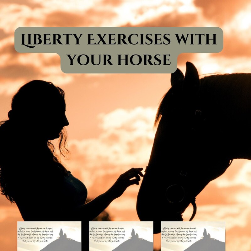 Horse Liberty Training - Etsy