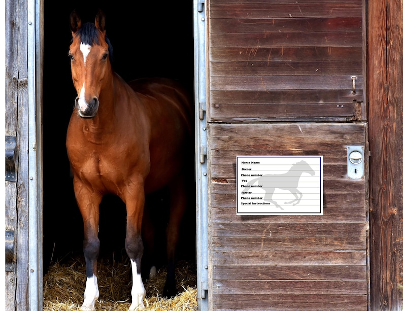 Horse Stall Sign Template,stall Sign Printable,horse Name Plate Stall ...