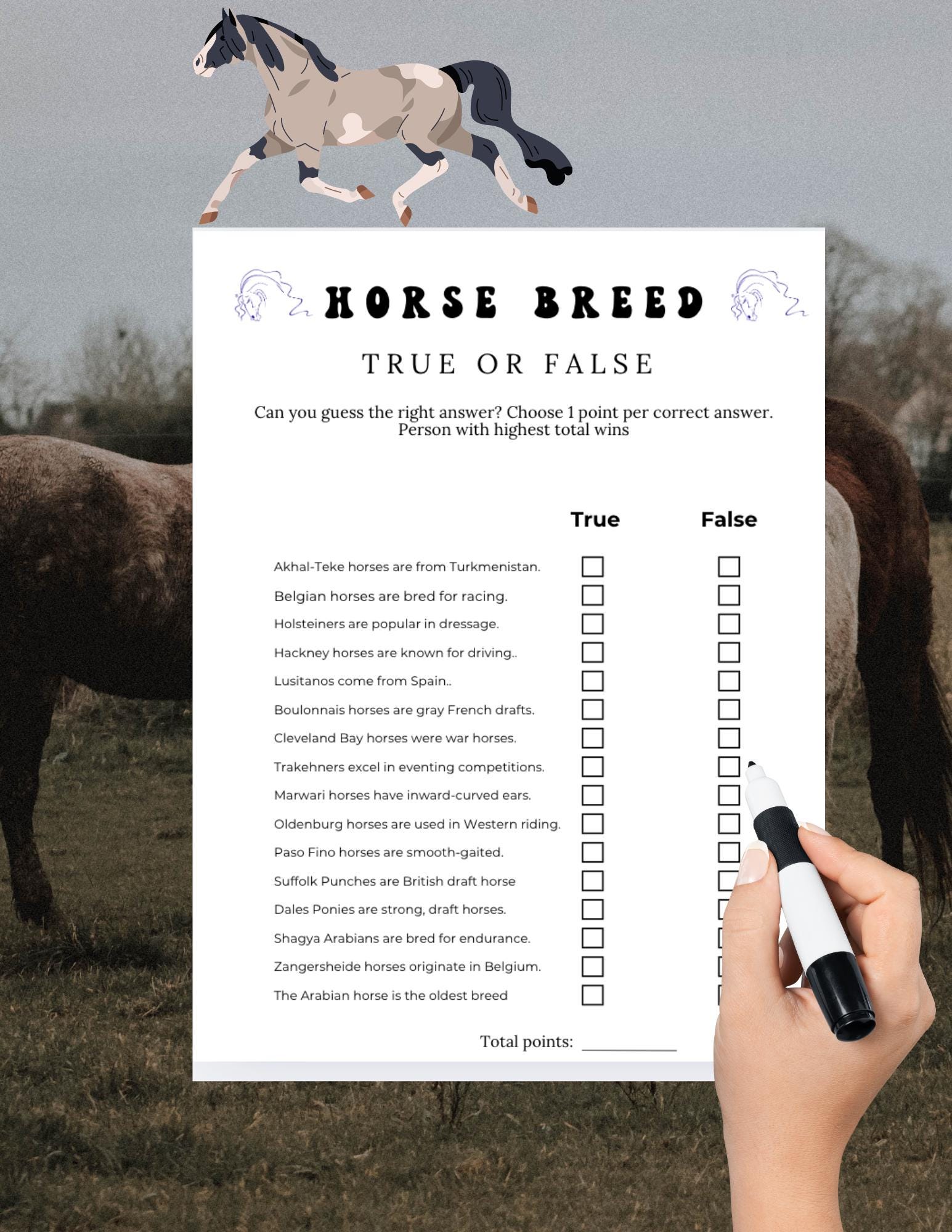 Horse Breed True or False Game,horse Breed Trivia Game, Equine Breeds ...
