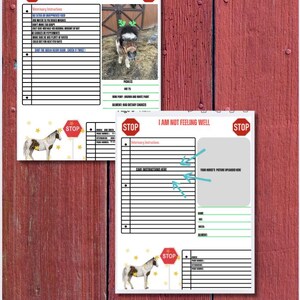 Lesson Horse Barn Templates,equestrian Lesson Barn Management Template ...