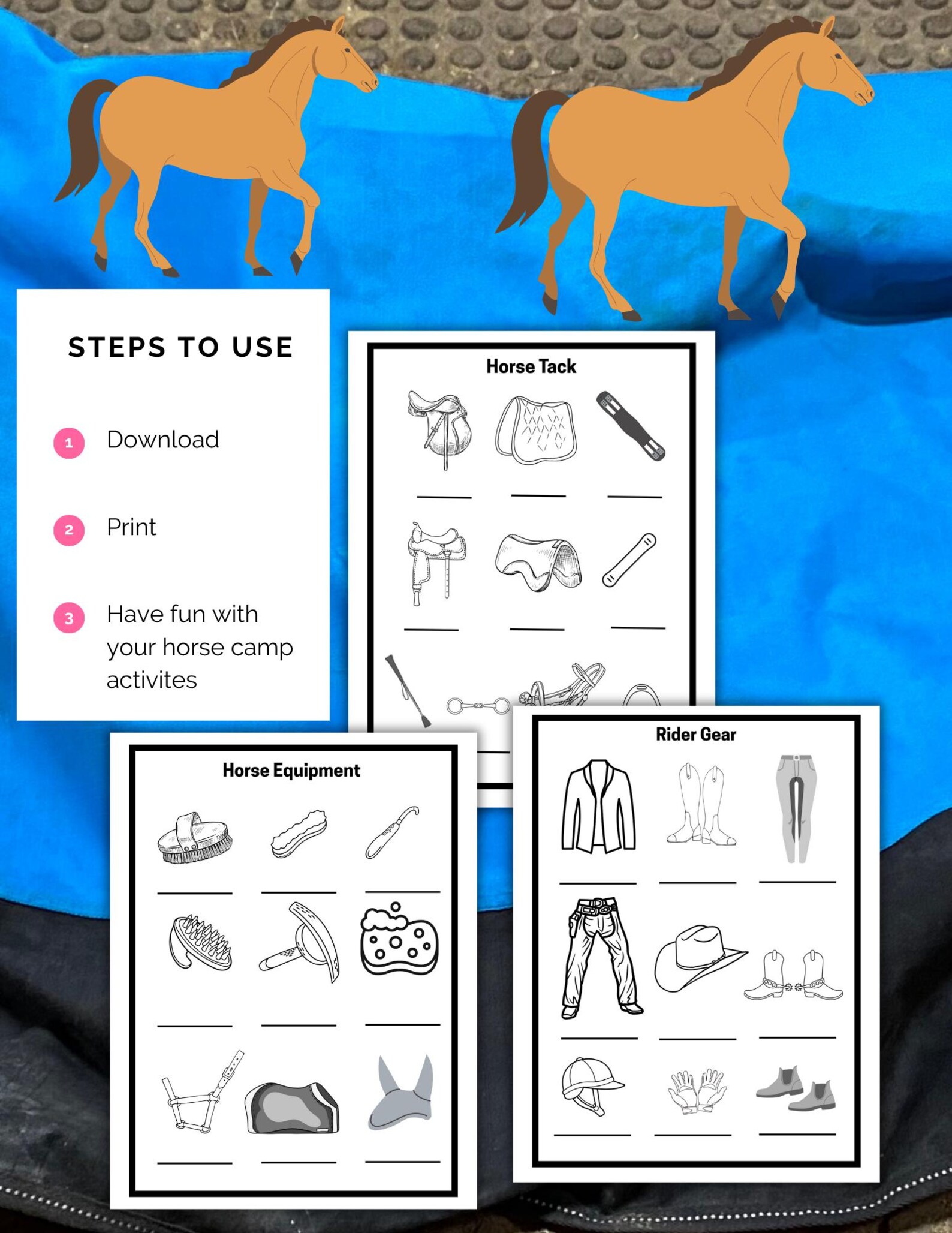 Horse Education Worksheets, Beginner Equestrian Learning, Horse Camp ...
