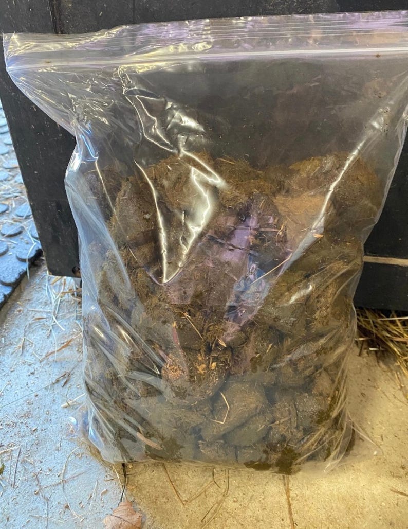 Fresh Horse Manure,organic Garden Fertilizer/ Soil Amendment, Horse ...
