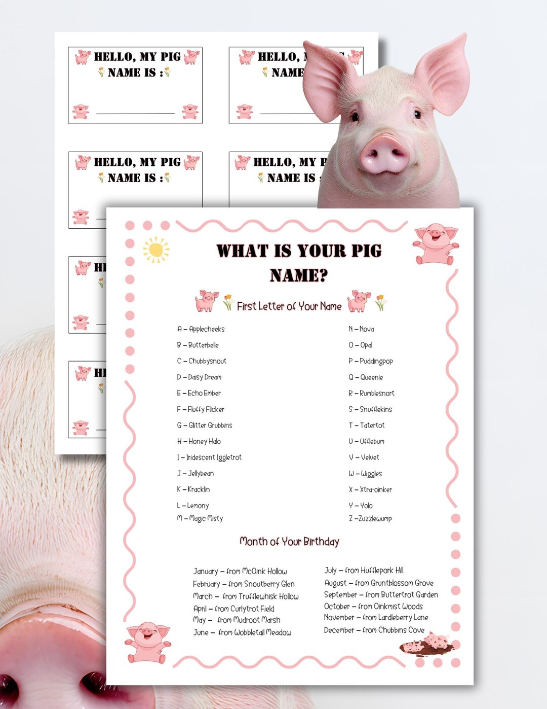 What's Your Pig Name Game: Farm Party, Barnyard Birthday , Name Tags ...