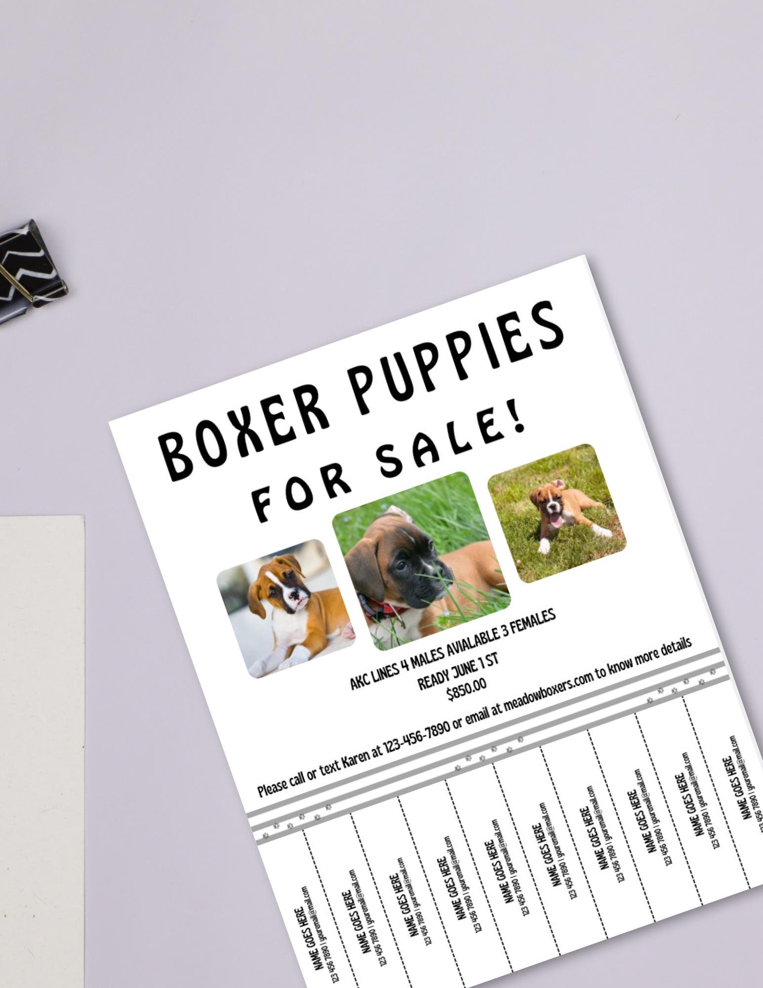 Puppies for Sale Flyer/ Poster; Puppies for Sale Poster, Editable and ...