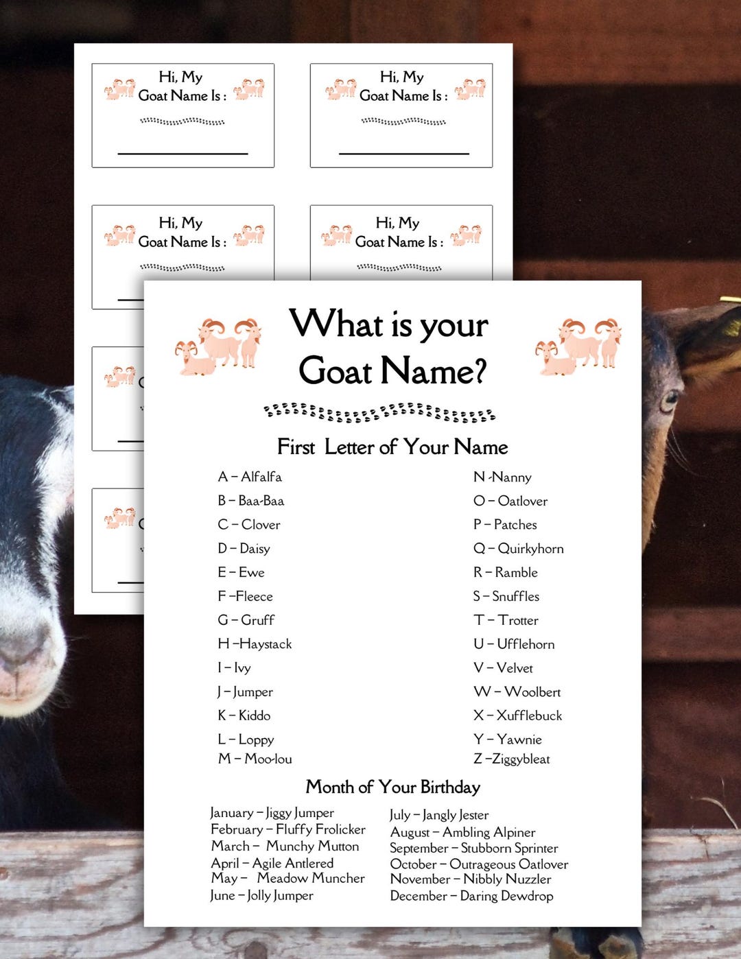 Goat Name Game: Barnyard Party, Farm Birthday (PDF Download, Name Tags ...
