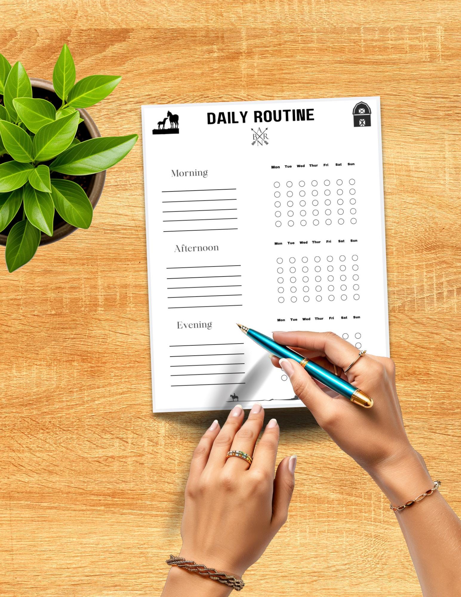 Equestrian Barn Chore Chart,barn Daily Routine Checklist,horse Stable ...