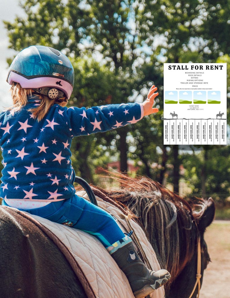 Horse Stall for Rent Advertisement Flyer Poster, Equine Barn Opening ...