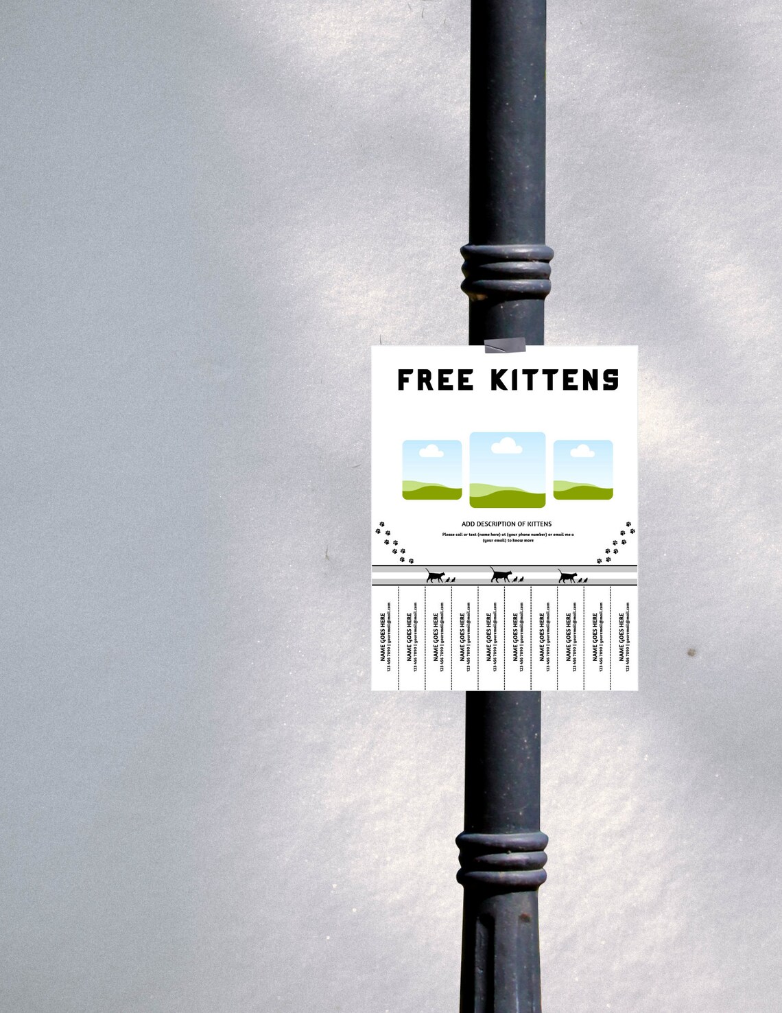 Free Kittens Tear off Flyer Editable and Customizable in Canva With ...