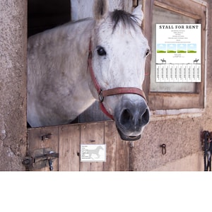Horse Stall for Rent Advertisement Flyer Poster, Equine Barn Opening ...