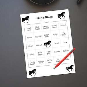 Pony Bingo Game Horse Birthday Party Activity (printable PDF), Horse ...