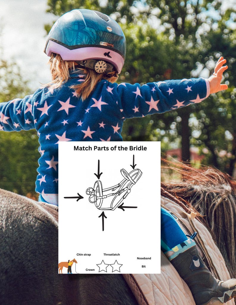 Horse Camp Activity Bundle,printable Summer Camp Worksheets, Games ...