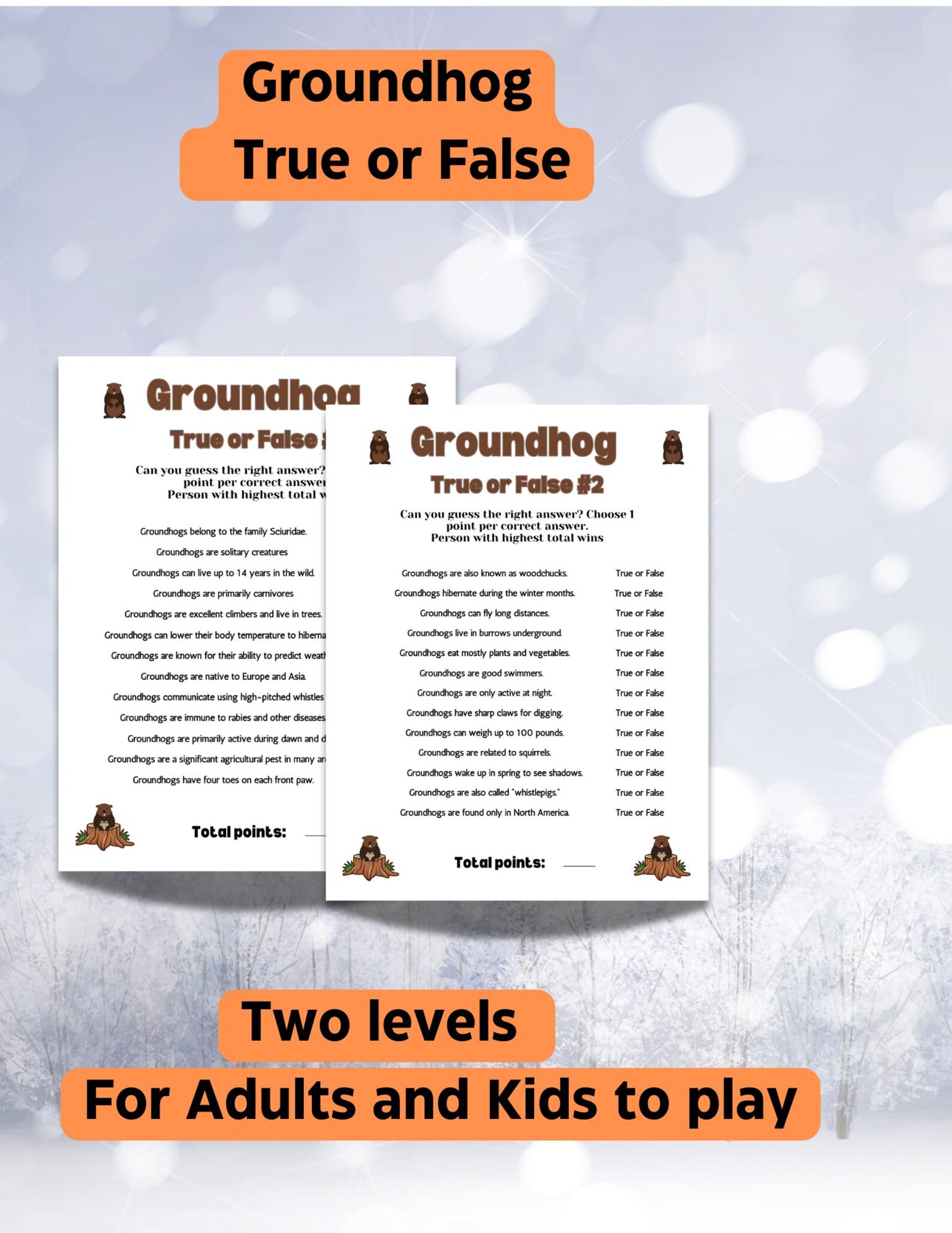 Groundhog Day Trivia Game: Kids & Adult True or False (printable PDF ...