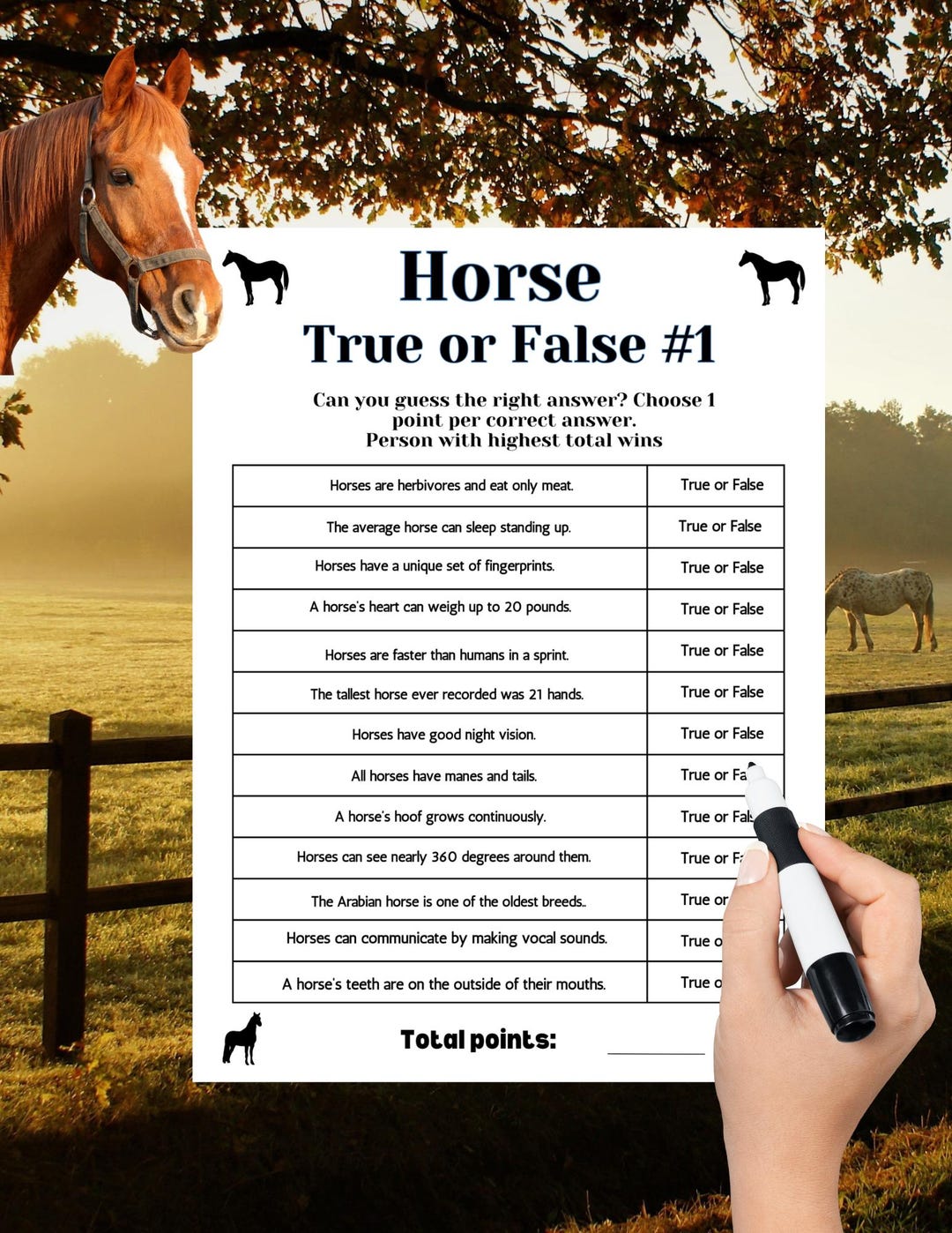 Horse Trivia Game:horse True or False Quiz, Horse Trivia Game ...